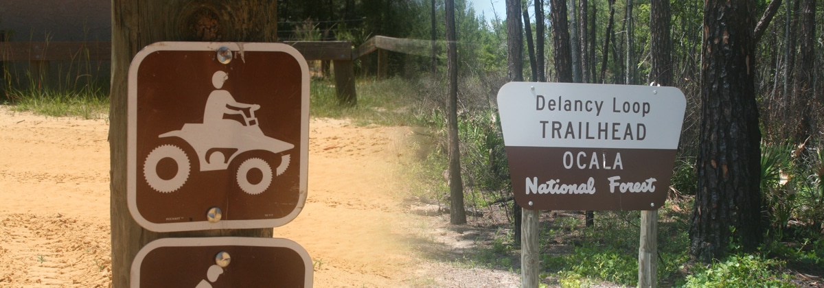 Activities - Florida Black Bear Scenic Byway